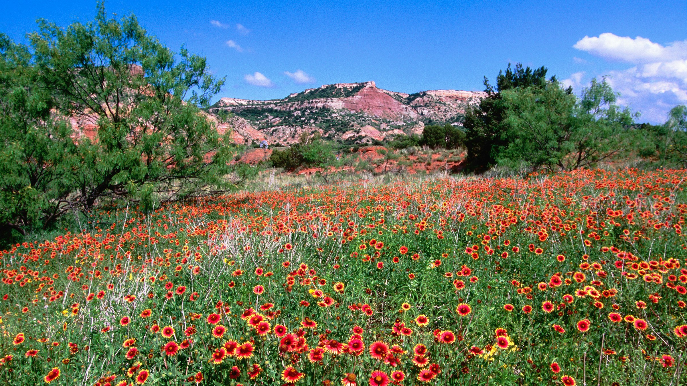 Home - Texas | Happy State Bank