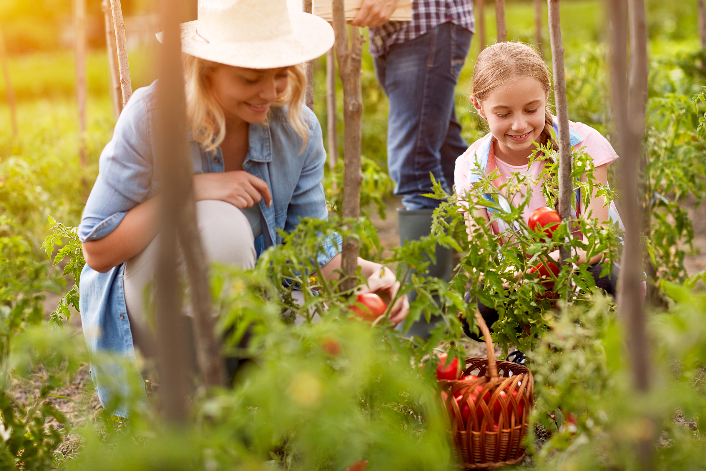 Checking Accounts | Personal Banking - Happy State Bank